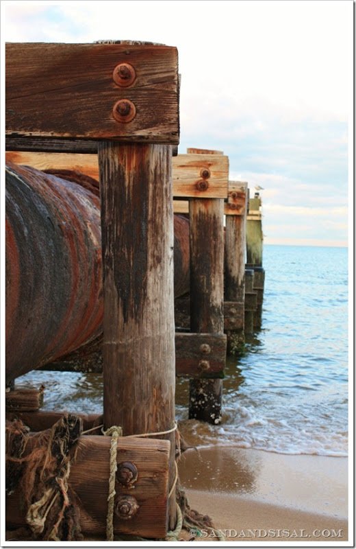 A Beach Walk: Finding Beauty in the Rust - Sand and Sisal