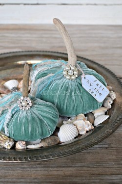 Coastal Pumpkin Ideas - Sand and Sisal