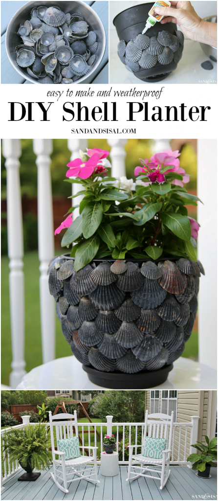 DIY Shell Planter - Sand and Sisal