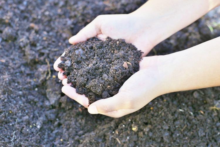 Fall Soil Preparation Tips for Spring Gardens - Sand and Sisal