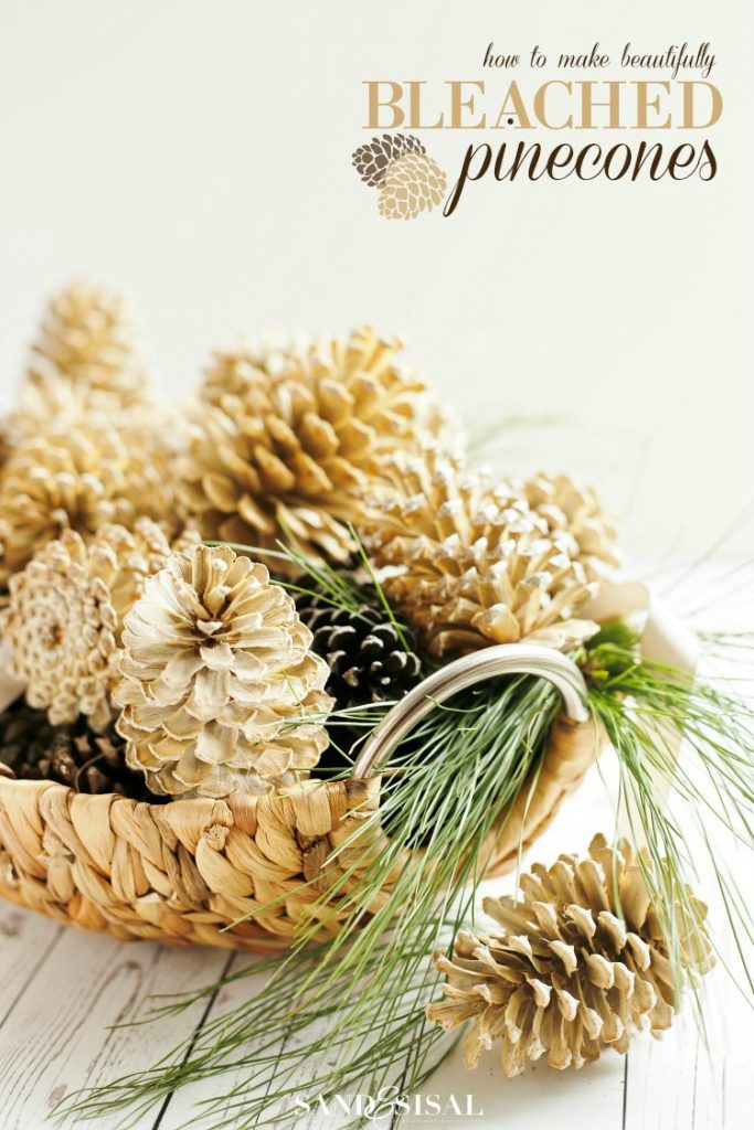 How to Make Beautifully Bleached Pinecones - Sand and Sisal