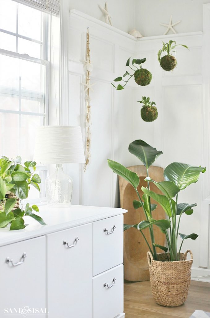 DIY Kokedama - Japanese Moss Ball Planters - Sand and Sisal