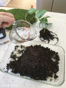 DIY Kokedama - Japanese Moss Ball Planters - Sand and Sisal