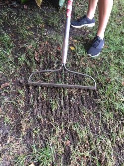 Fall Lawn Care Tips | Reseed Your Lawn in 5 Easy Steps - Sand and Sisal